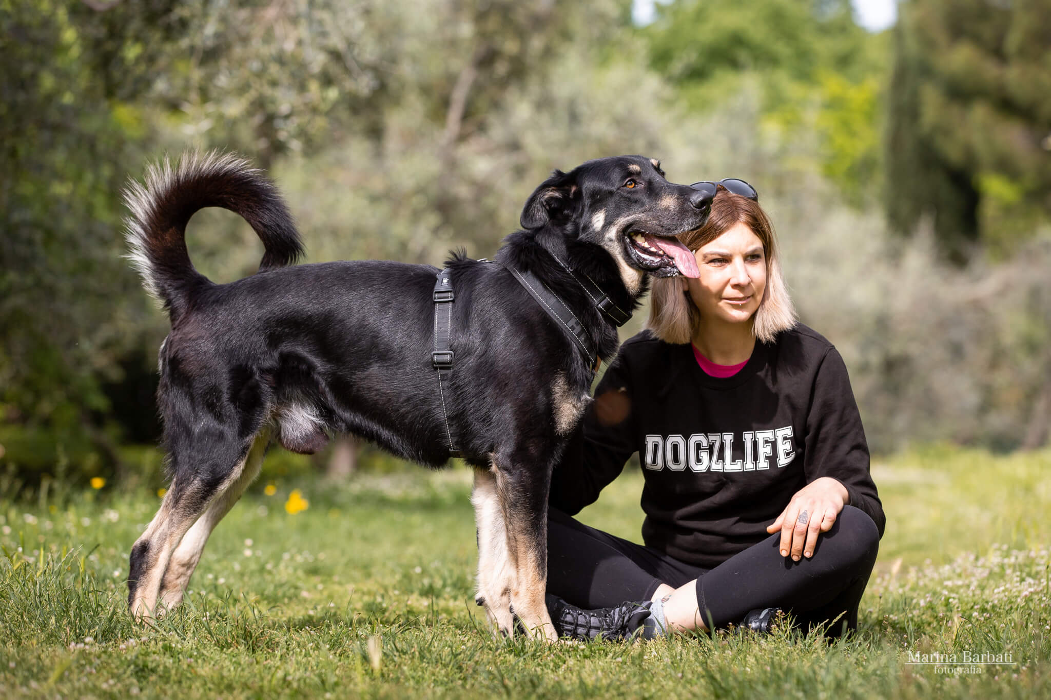 Molossi e cani neri: pregiudizi, paure e verità da conoscere